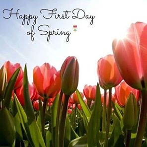 It’s Our Favorite Time Of The Year! – Paul Swartz Nursery